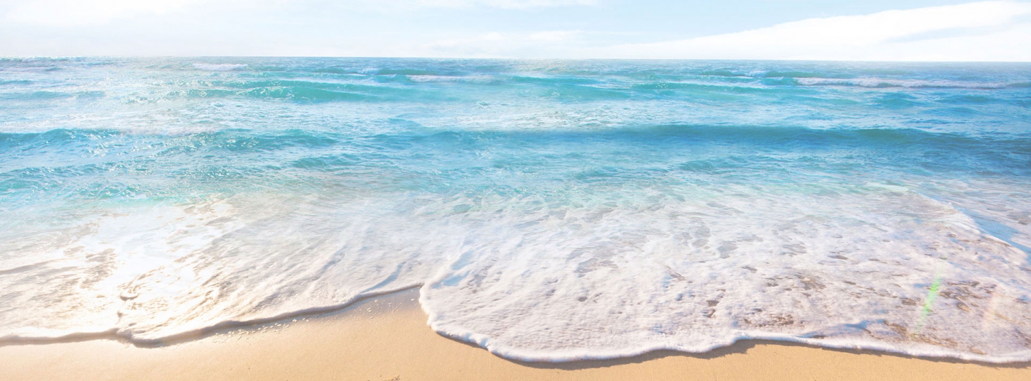 Sensitive Introvert Coach – The Gifted Highly Sensitive Introvert